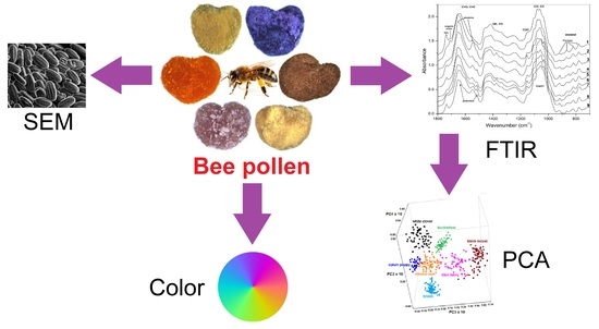 Foods | Special Issue : Composition and Biological Properties of Bee ...