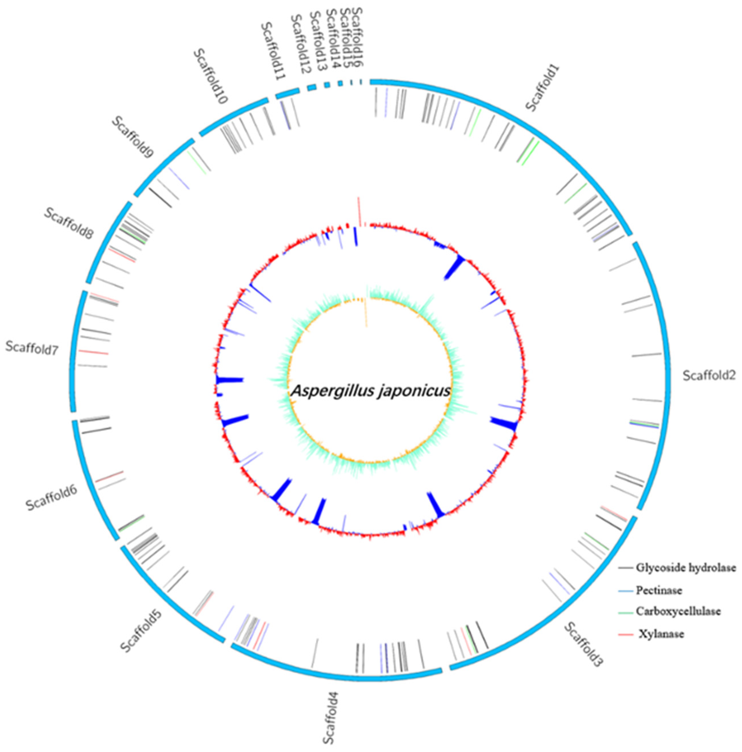 Safety Evaluation and Whole Genome Sequencing of Aspergillus japonicas PJ01 Reveal Its Potential ...