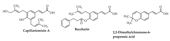 Anti-Viral and Immunomodulatory Properties of Propolis: Chemical ...