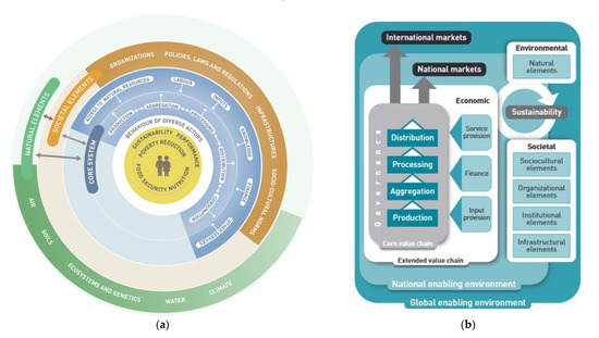 The Need for a Food Systems Approach in Smallholder Food and Nutrition ...