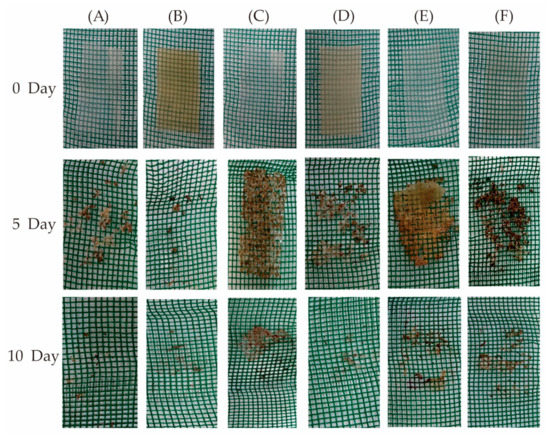 Comprehensive Review of Polysaccharide-Based Materials in Edible ...