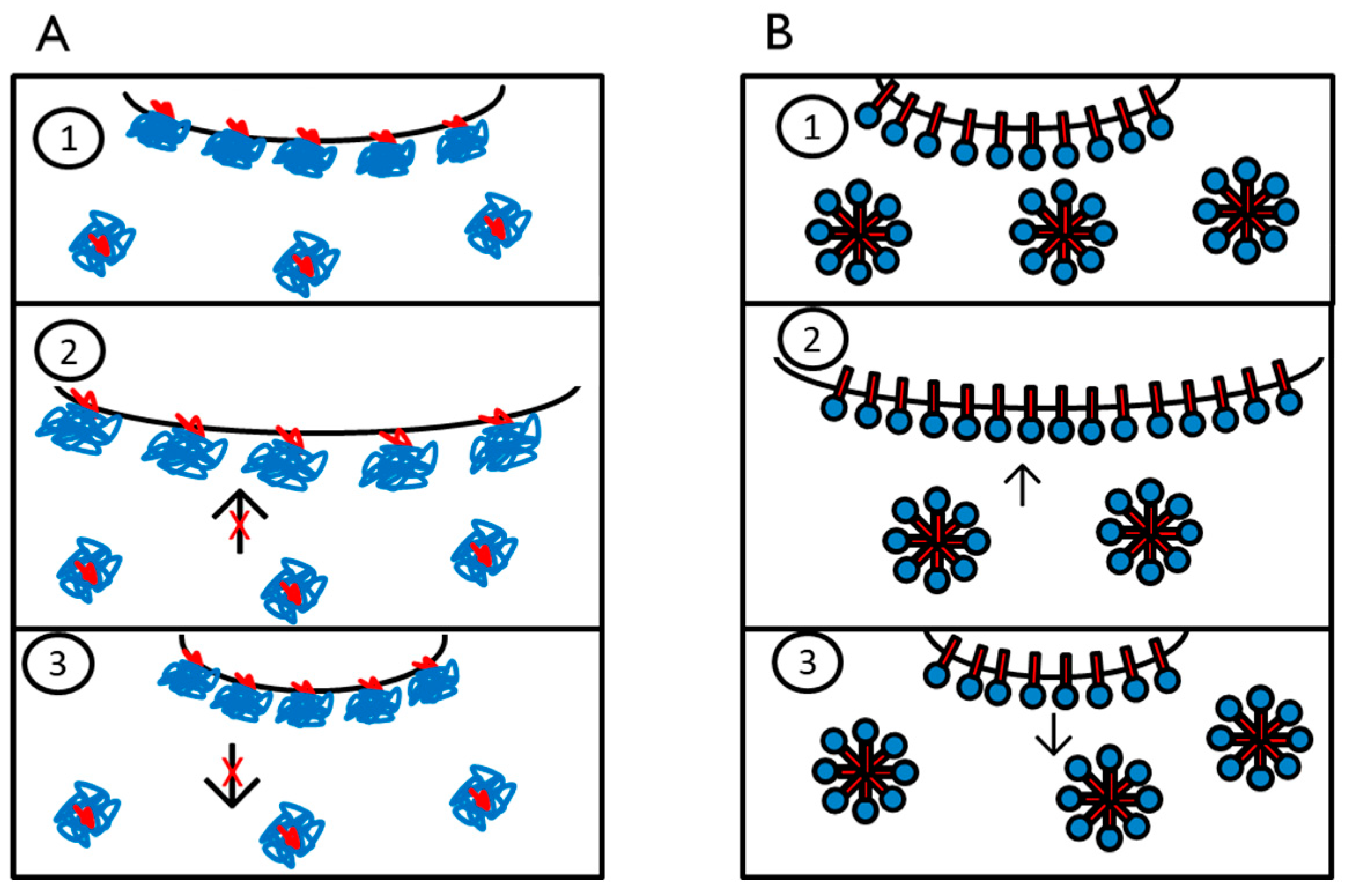 Stability of Foams in Vacuum Drying Processes. Effects of Interactions ...