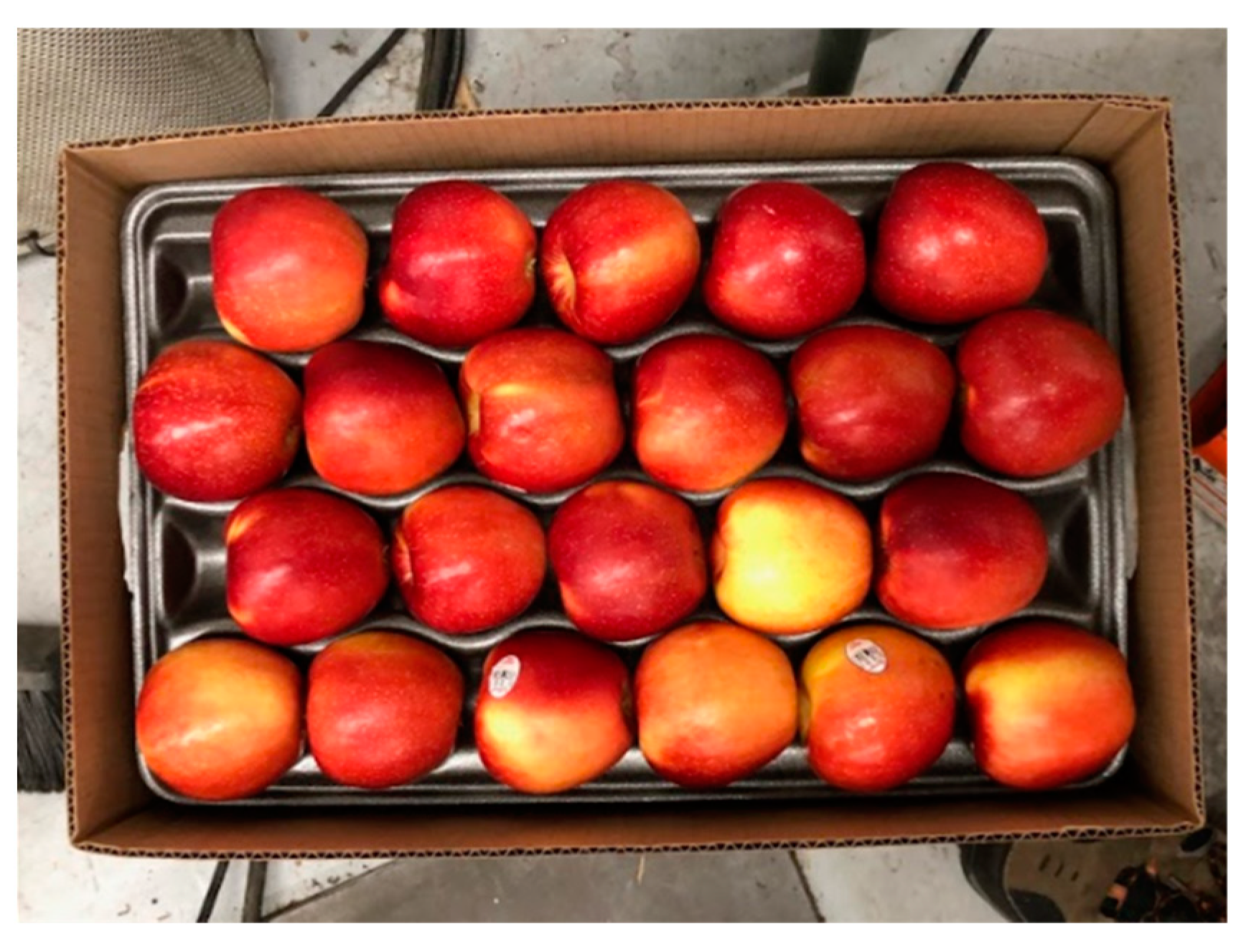 Susceptibility of Impact Damage to Whole Apples Packaged Inside Molded ...