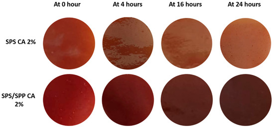 Characterization of Anthocyanin Associated Purple Sweet Potato Starch ...