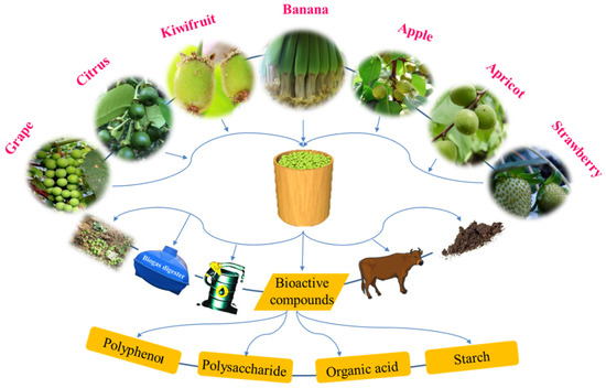 Comprehensive Utilization of Thinned Unripe Fruits from Horticultural Crops