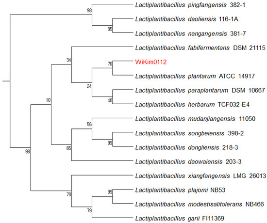 Comparison of the Probiotic Potential between Lactiplantibacillus ...