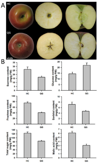 Combined Profiling of Transcriptome and DNA Methylome Reveal Genes ...