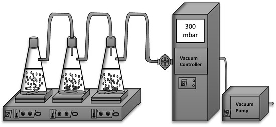 Vacuum-Assisted Osmotic Dehydration of Autumn Olive Berries: Modeling of Mass Transfer Kinetics ...