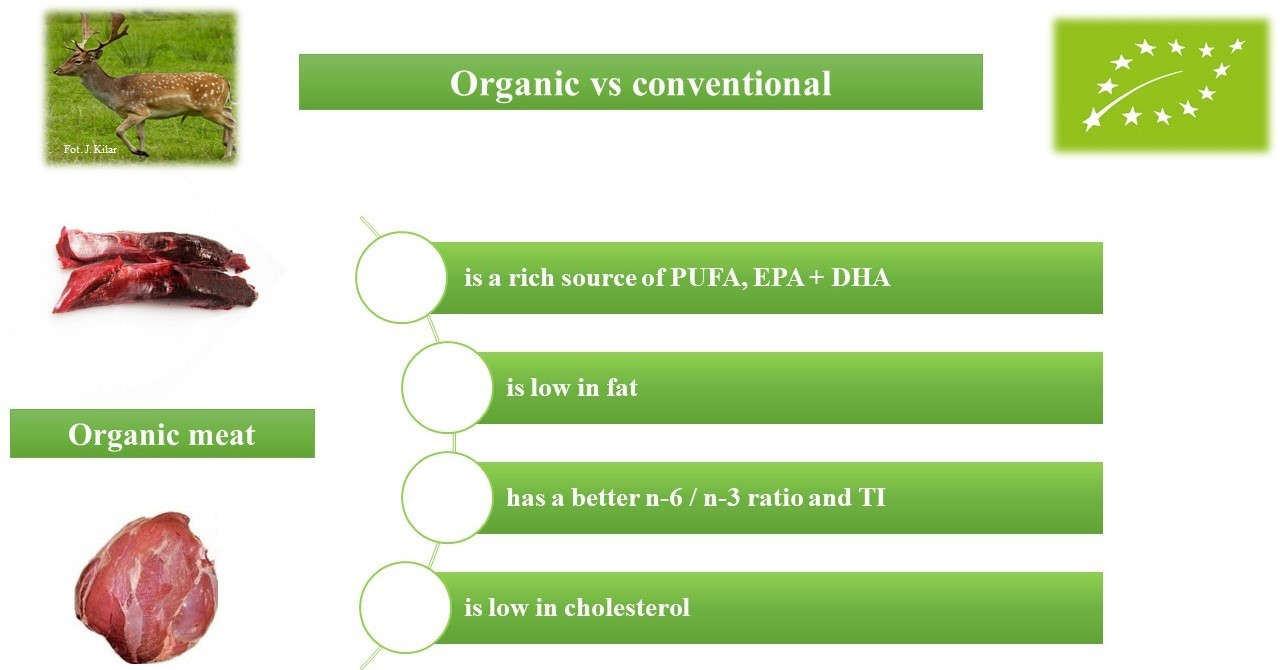 Foods | Free Full-Text | Fatty Acids and Nutraceutical Properties of ...