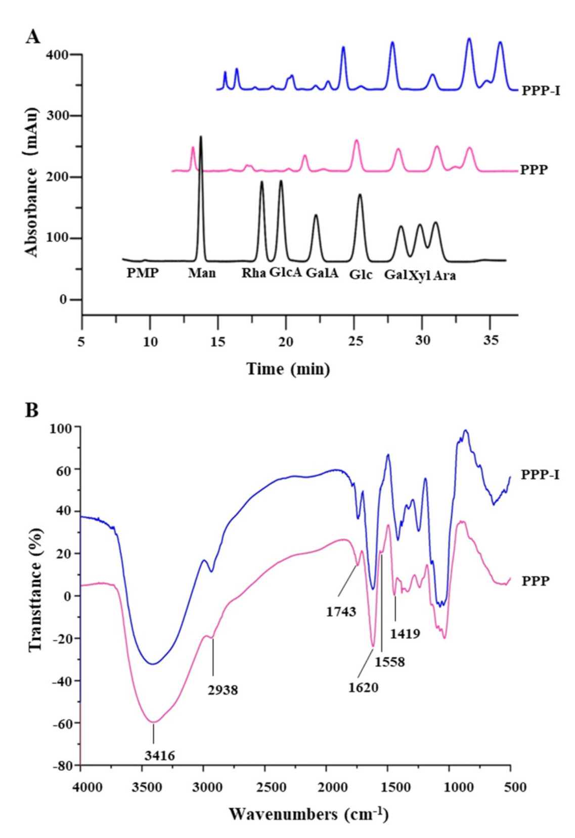 Changes in Physicochemical and Biological Properties of Polyphenolic ...