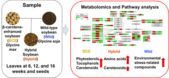 Foods | Free Full-Text | Metabolomic Variability of Different Soybean ...