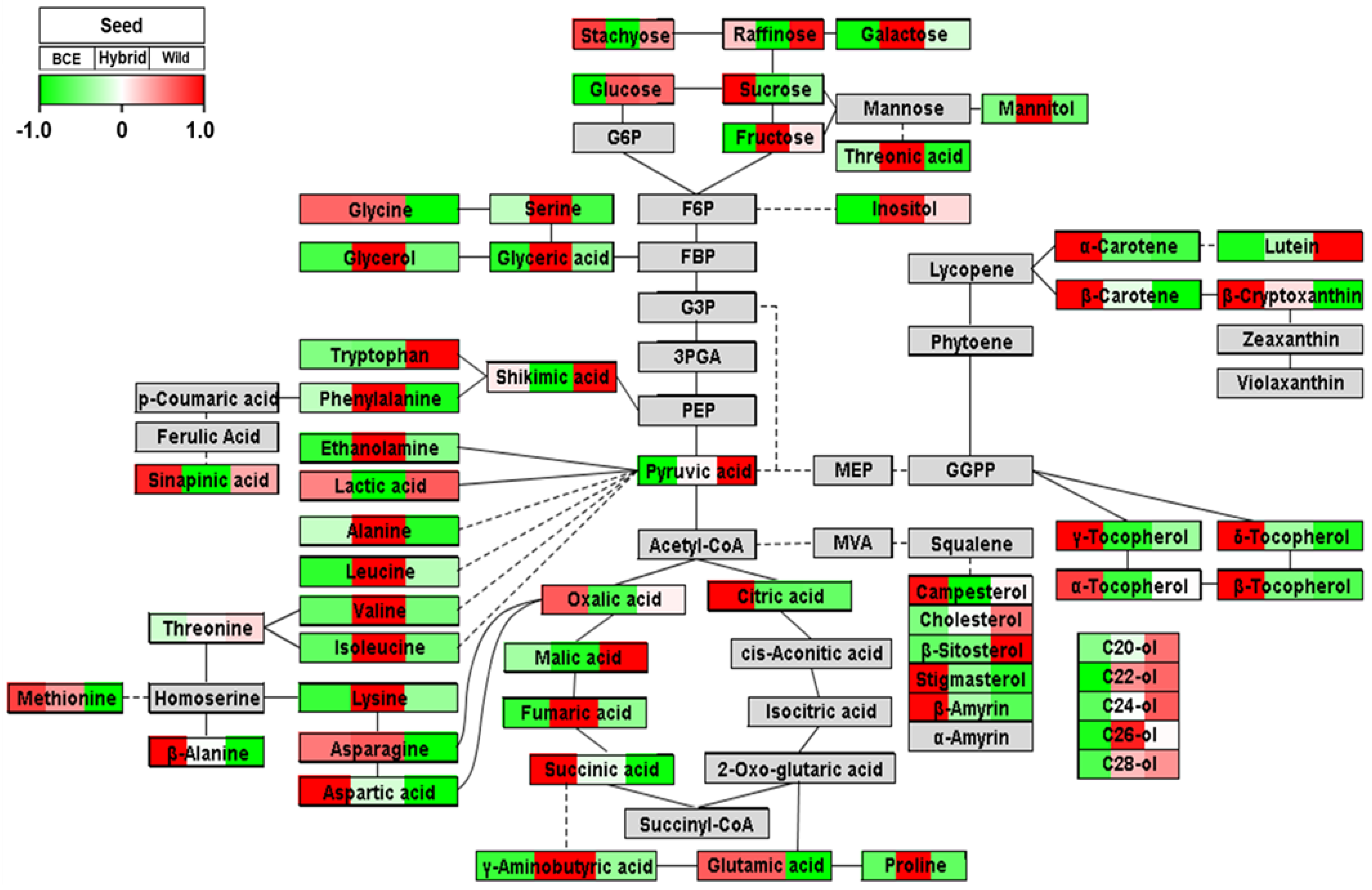 Metabolomic Variability of Different Soybean Genotypes: β-Carotene ...
