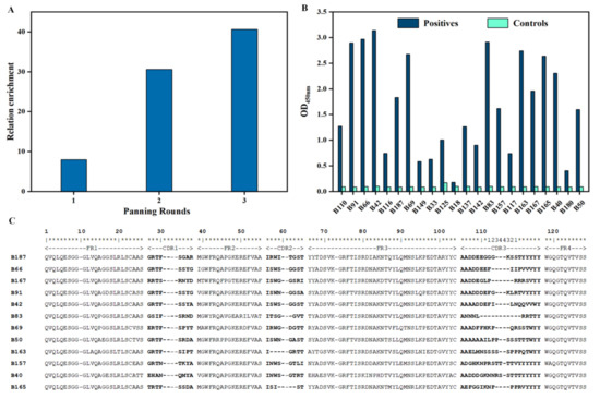 Foods | Free Full-Text | Selection of Specific Nanobodies against ...