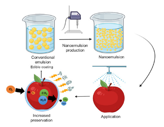 Foods | Free Full-Text | Nanoemulsions as Edible Coatings: A Potential ...
