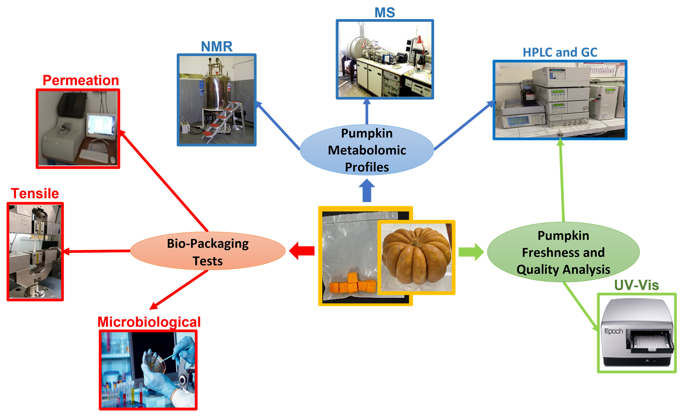 Foods | Free Full-Text | Commercial Bio-Packaging to Preserve the ...