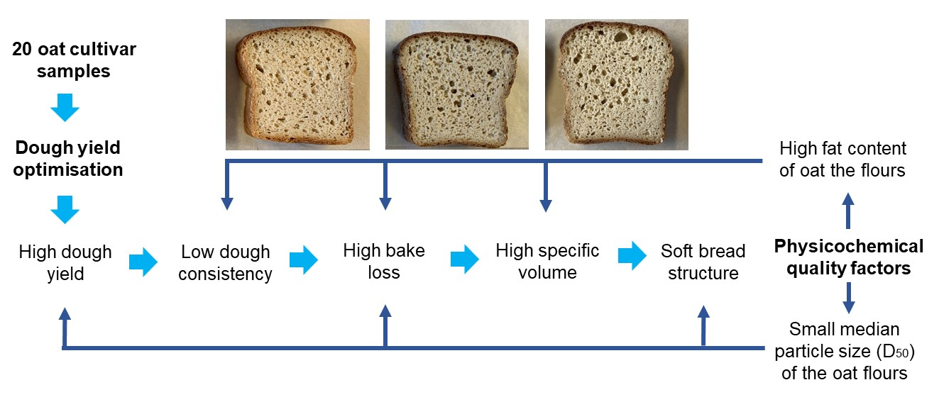 Foods | Free Full-Text | Baking Quality Assessment of Twenty Whole ...