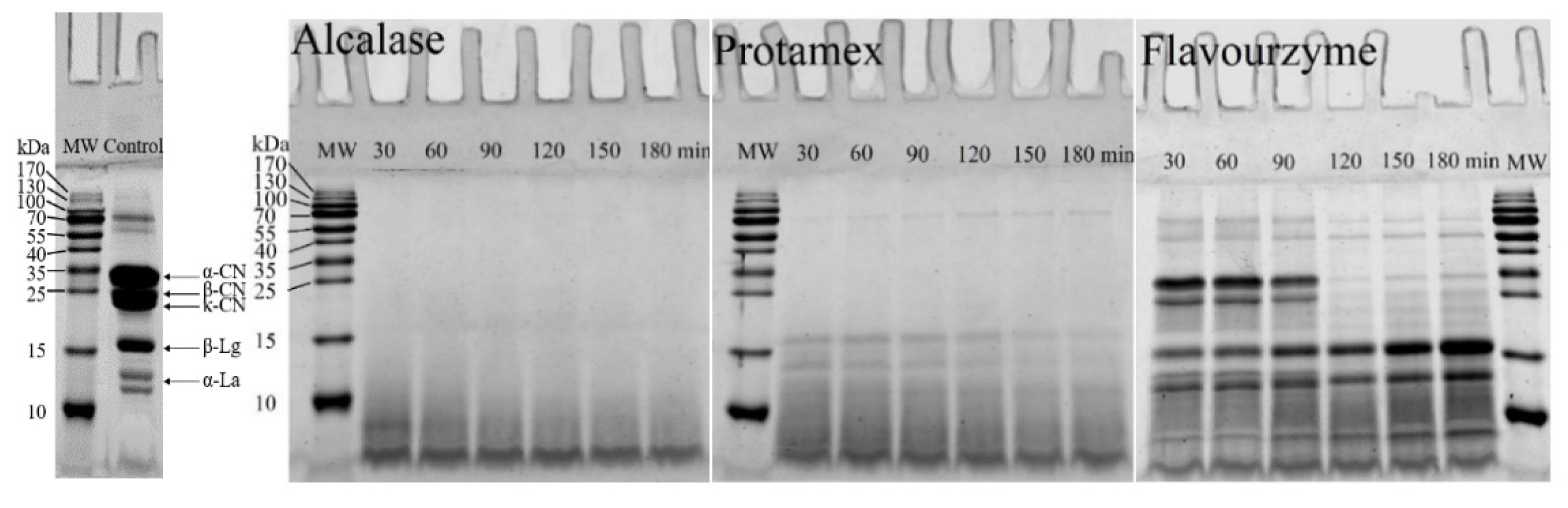 Effects of Enzymatic Hydrolysis on Physicochemical Properties and ...