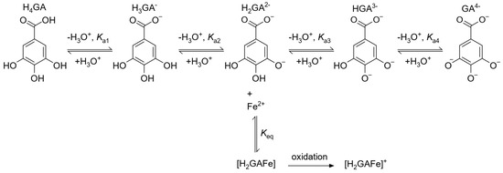 Dependence of the Fe(II)-Gallic Acid Coordination Compound Formation ...