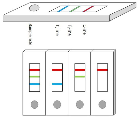 Simultaneous Rapid Detection of Aflatoxin B1 and Ochratoxin A in Spices Using Lateral Flow ...