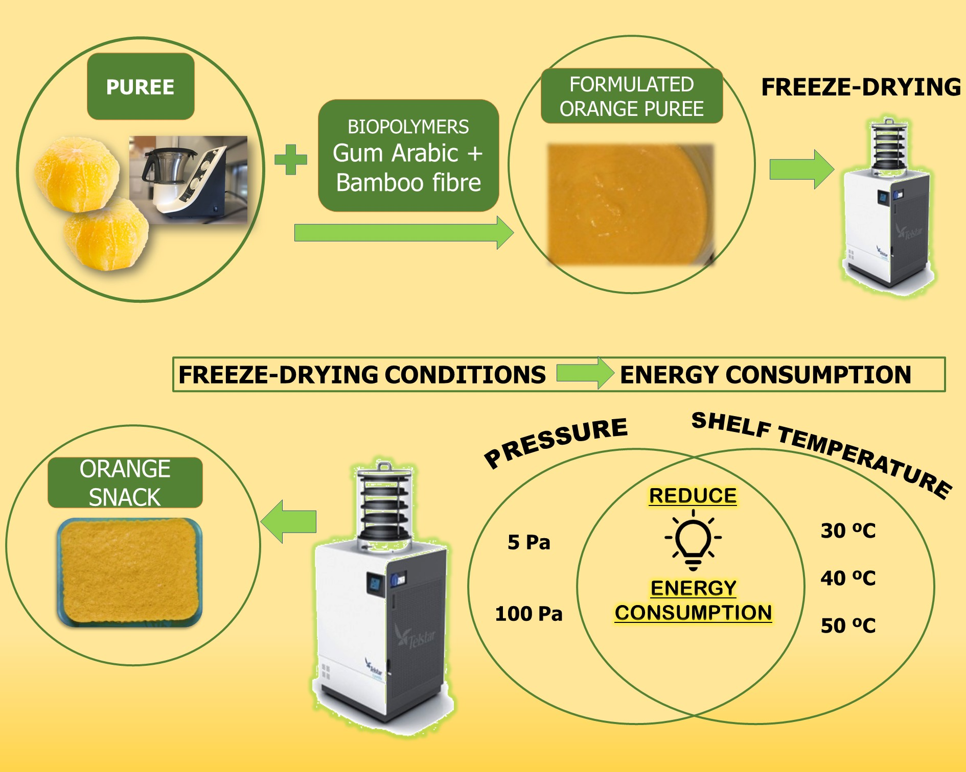 Foods | Free Full-Text | Impact of the Freeze-Drying Conditions Applied to Obtain an Orange ...