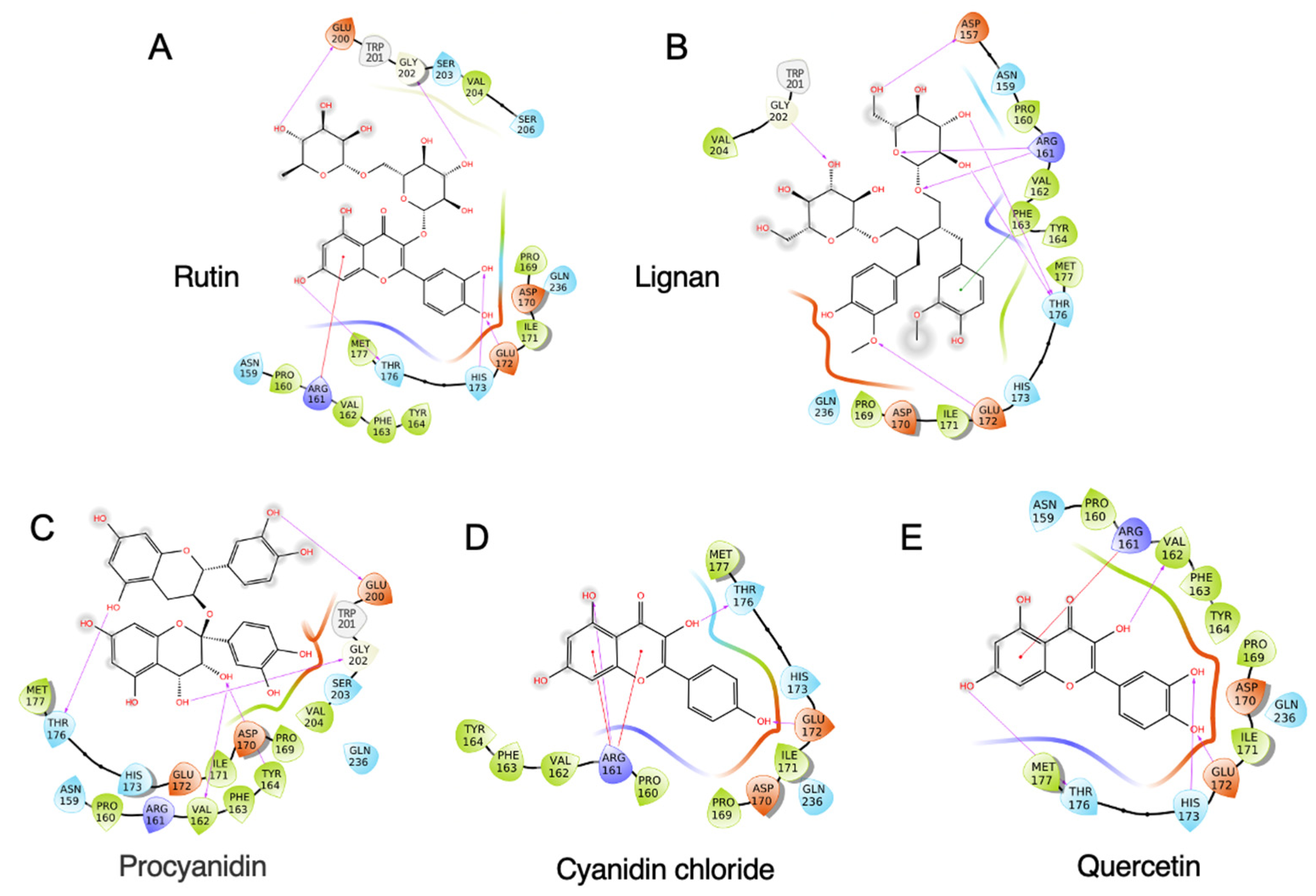 Characterization of Soybean Protein Isolate-Food Polyphenol Interaction ...