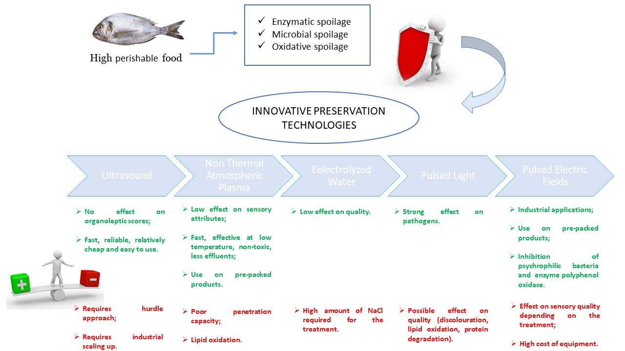 Foods | Free Full-Text | Innovative Preservation Methods Improving the ...