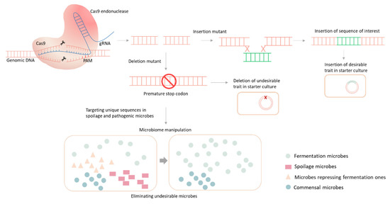 Evolution of Food Fermentation Processes and the Use of Multi-Omics in ...