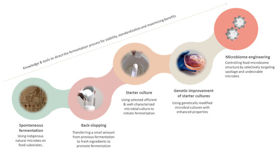 Evolution of Food Fermentation Processes and the Use of Multi-Omics in ...