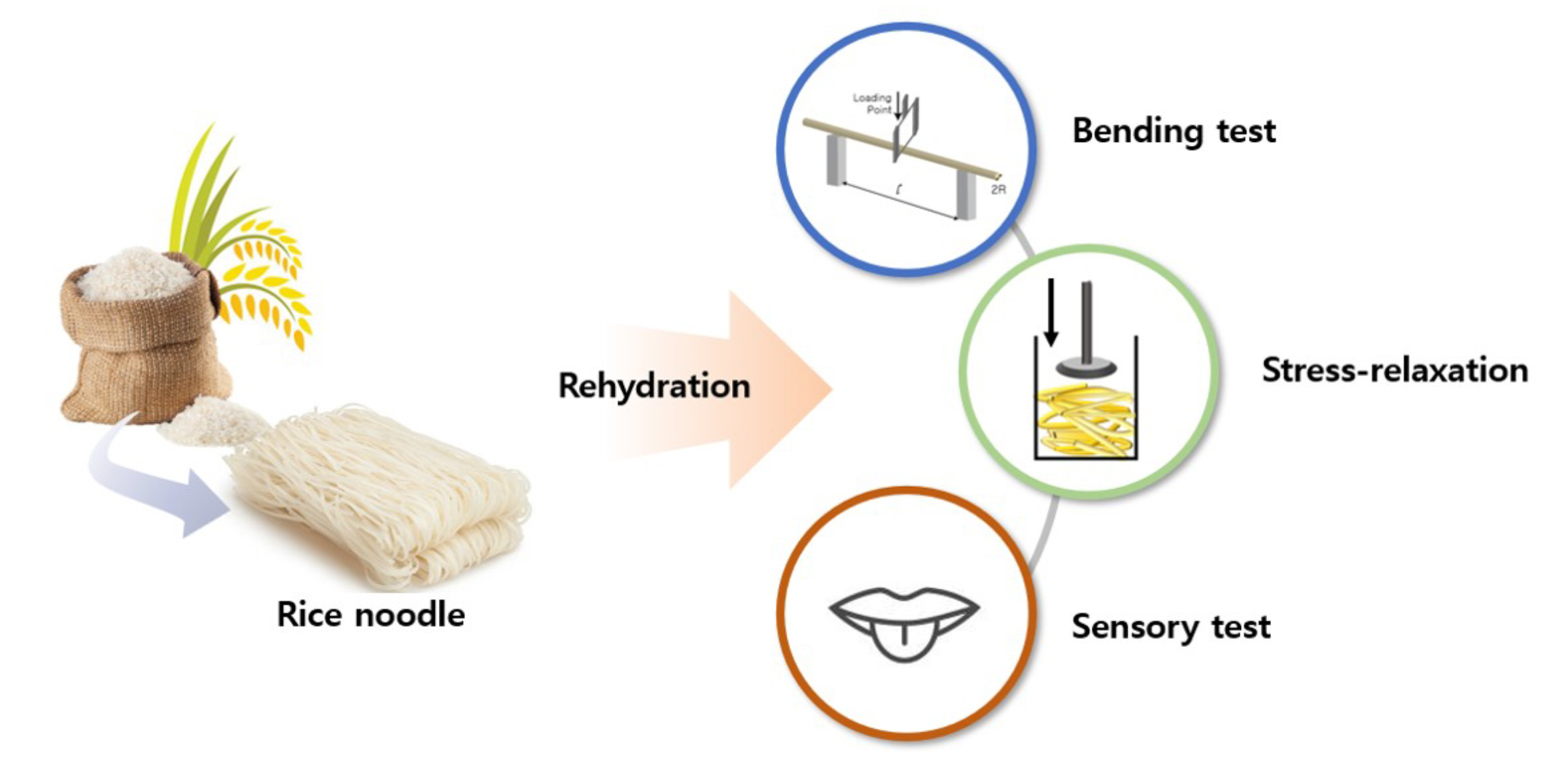 Foods | Free Full-Text | Instrumental and Sensory Characteristics of ...