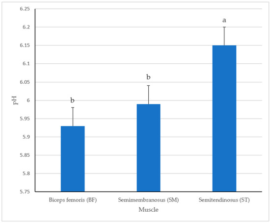 Characteristics of Pork Muscles Cooked to Varying End-Point Temperatures