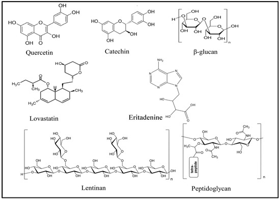 Edible Mushrooms: A Comprehensive Review on Bioactive Compounds with ...