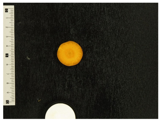 Optimization of the Appearance Quality in CO2 Processed Ready-to-Eat ...