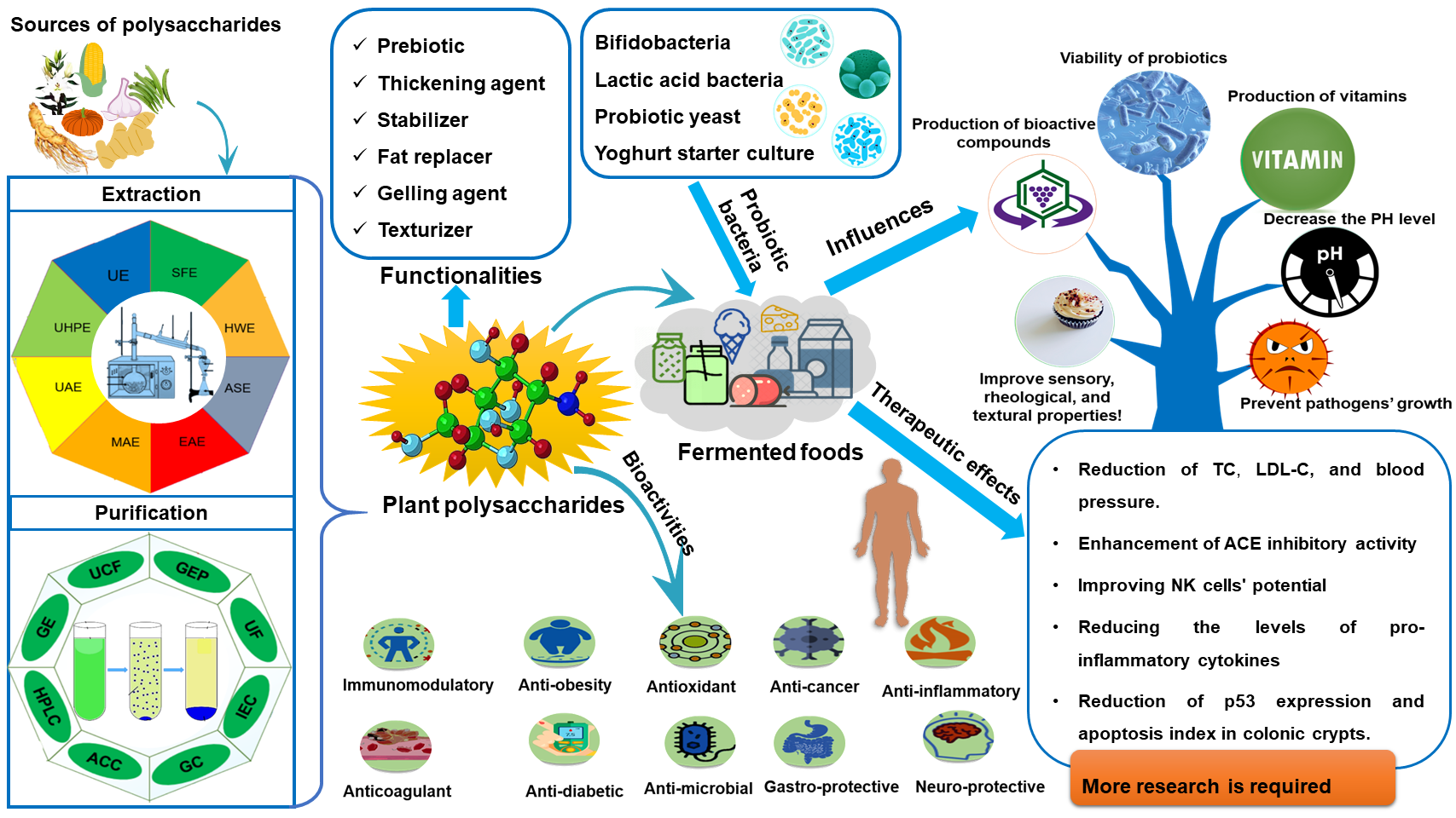 Foods | Free Full-Text | The Extraction, Functionalities and ...
