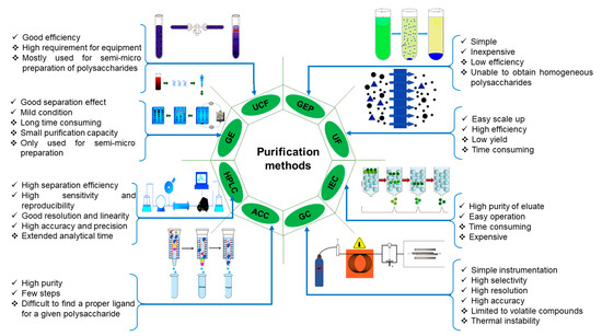 The Extraction, Functionalities and Applications of Plant ...