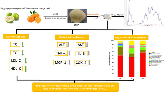 Foods | Free Full-Text | The Regulatory Effects of Citrus Peel Powder ...