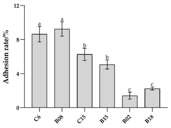 The Application of Bacillus subtilis for Adhesion Inhibition of ...