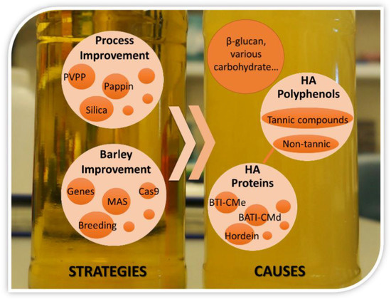Haze in Beer: Its Formation and Alleviating Strategies, from a Protein ...