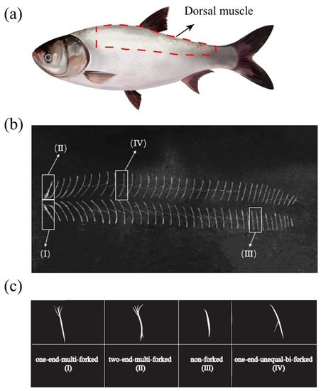 Diluted Acetic Acid Softened Intermuscular Bones from Silver Carp ...