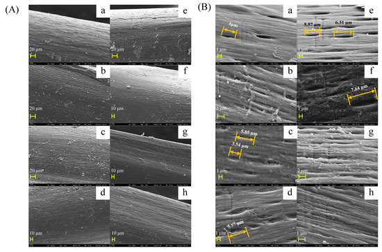 Diluted Acetic Acid Softened Intermuscular Bones from Silver Carp ...