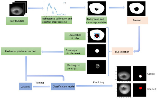 Nondestructive Detection of Codling Moth Infestation in Apples Using Pixel-Based NIR ...