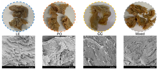 Textural, Sensory and Volatile Compounds Analyses in Formulations of ...