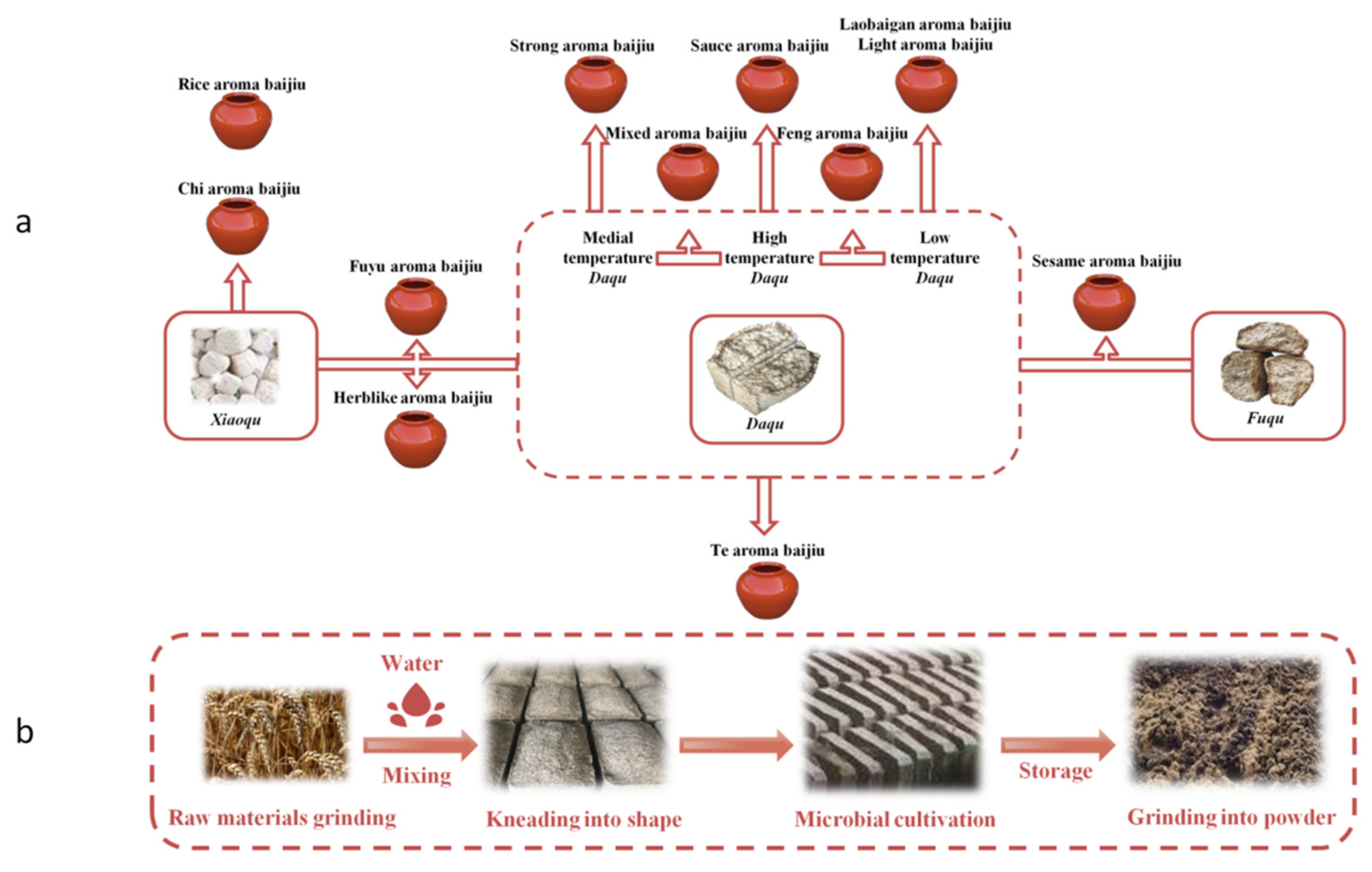 HS-SPME Combined with GC-MS/O to Analyze the Flavor of Strong Aroma ...
