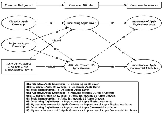 Understanding Apple Attribute Preferences of US Consumers