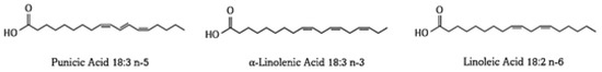 Punicic Acid and Its Role in the Prevention of Neurological Disorders ...
