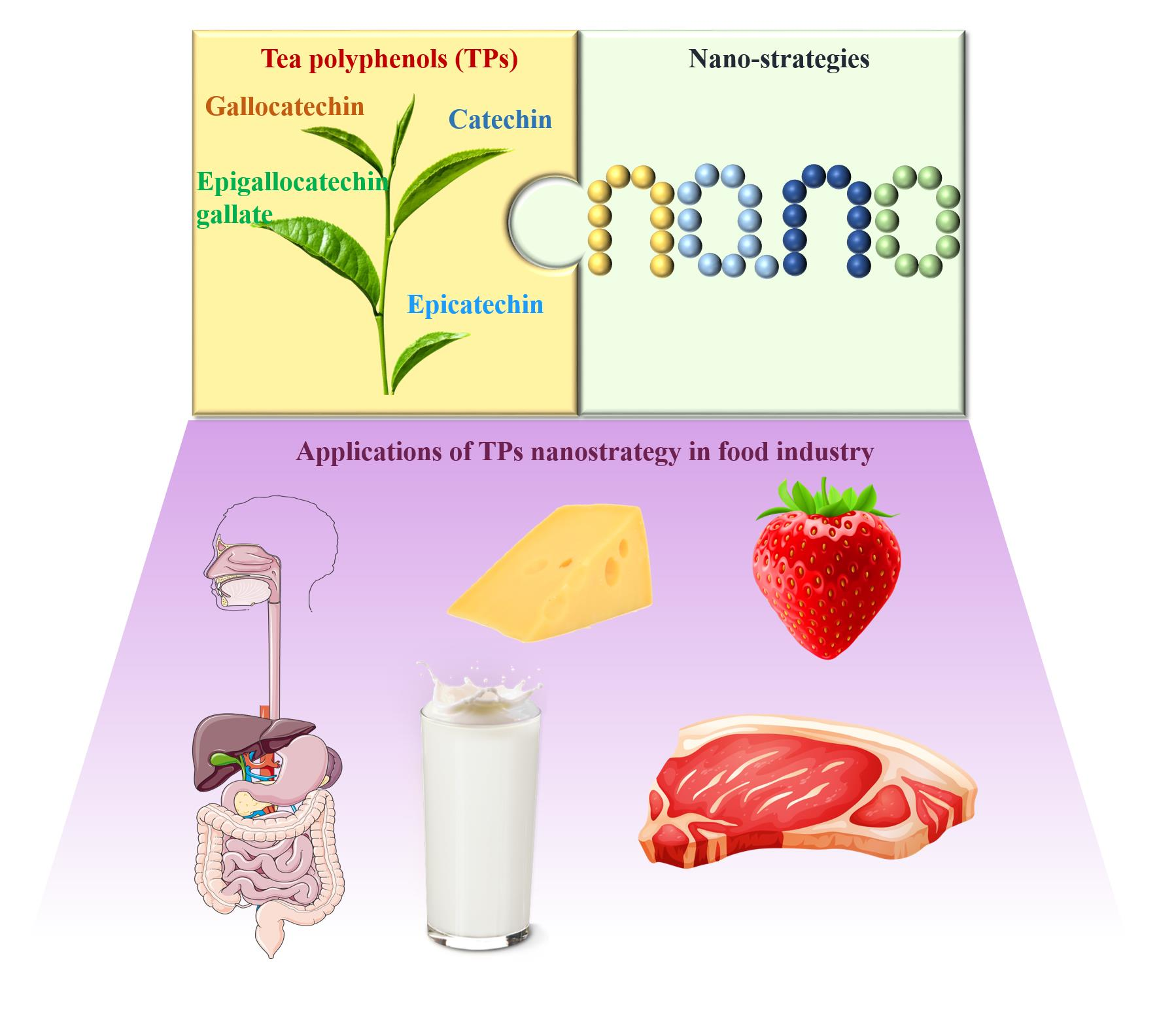 Foods | Free Full-Text | Nano-Strategies for Enhancing the ...
