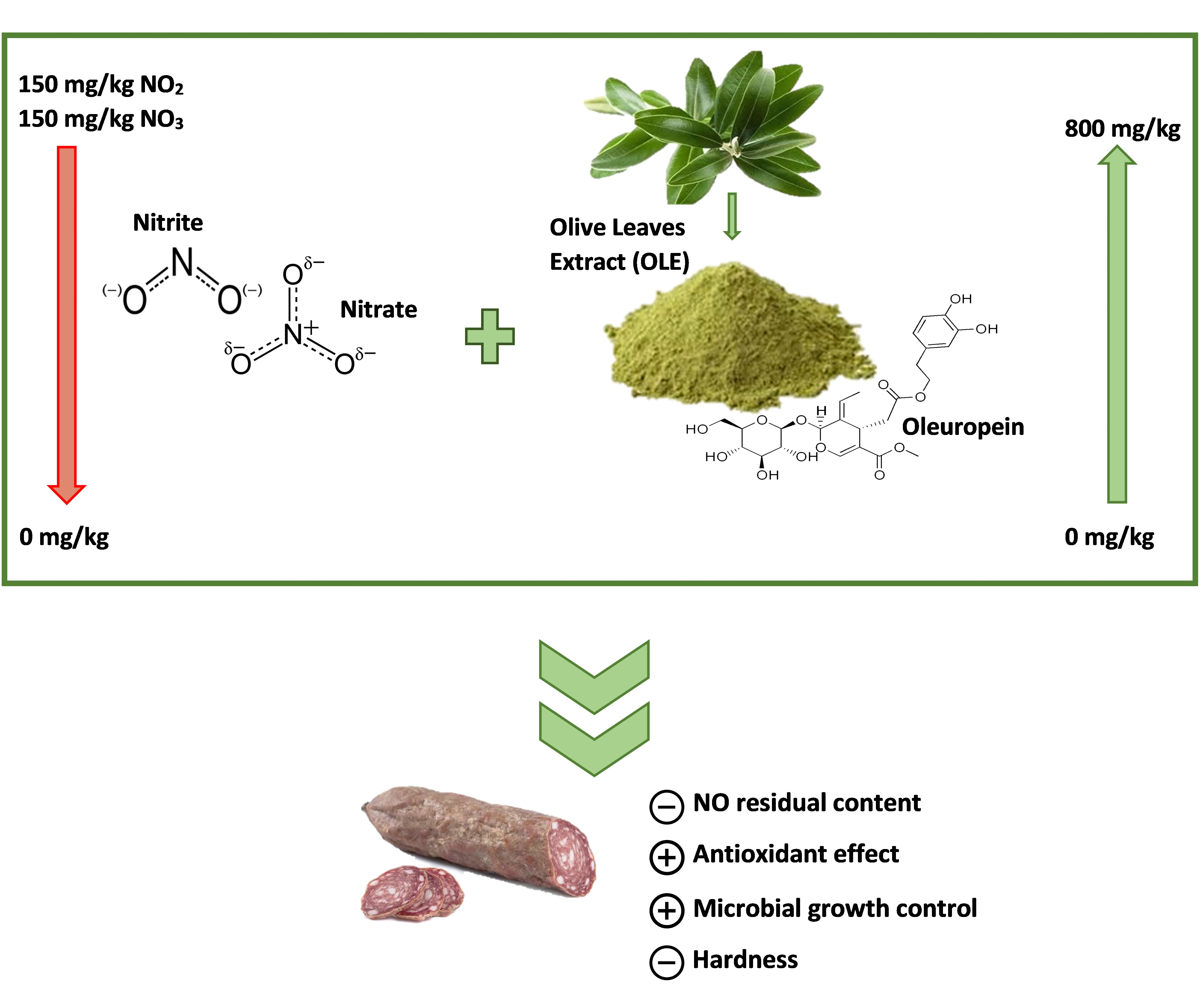 Foods | Free Full-Text | Olive Leaf Extract (OLE) Addition as Tool to ...