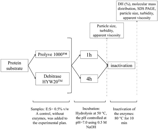 Impact of Enzymatic Hydrolysis and Heat Inactivation on the ...