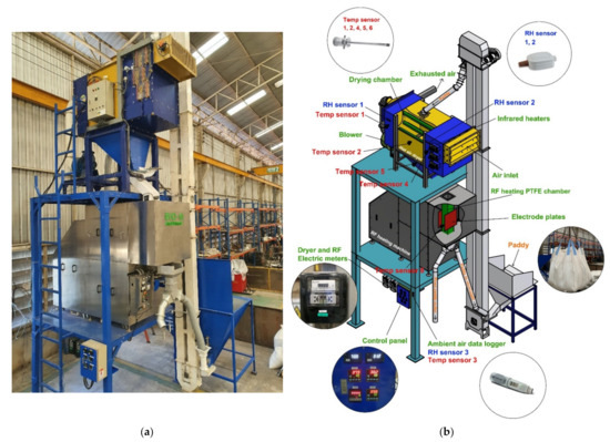 Effect of Large-Scale Paddy Rice Drying Process Using Hot Air Combined ...