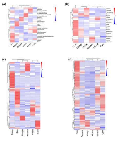 Metabolomic Analysis Reveals Nutritional Diversity among Three Staple ...