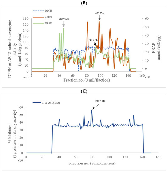Tyrosinase Inhibitory and Antioxidant Activity of Enzymatic Protein ...